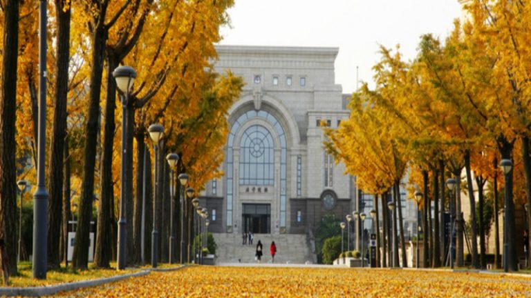 14 Chinese Universities that Offer International Degrees