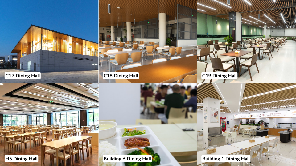 What is it Like to be a Student at Westlake University? • China Admissions