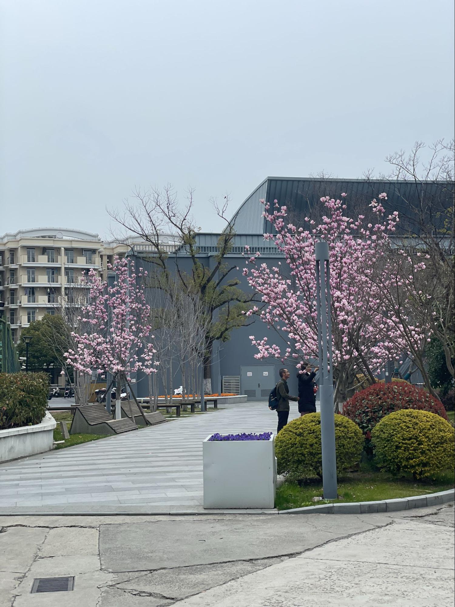 Student Housing and Dormitories at Fudan University for International ...